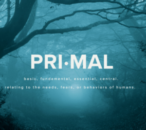 Allen & Gerritsen Launches New Consultancy: Primal - Allen & Gerritsen